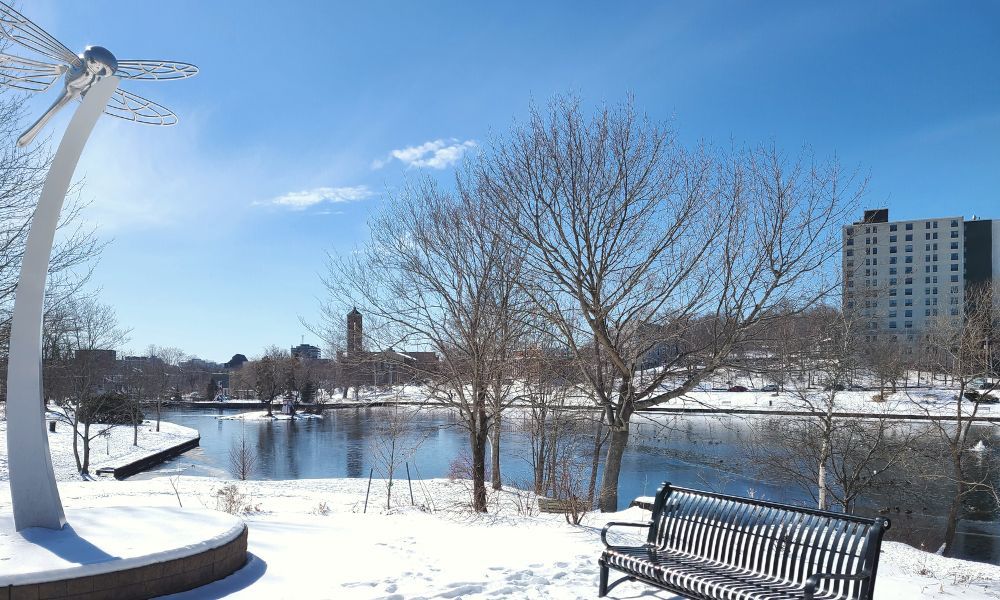 5 Things to Do in Halifax This Winter